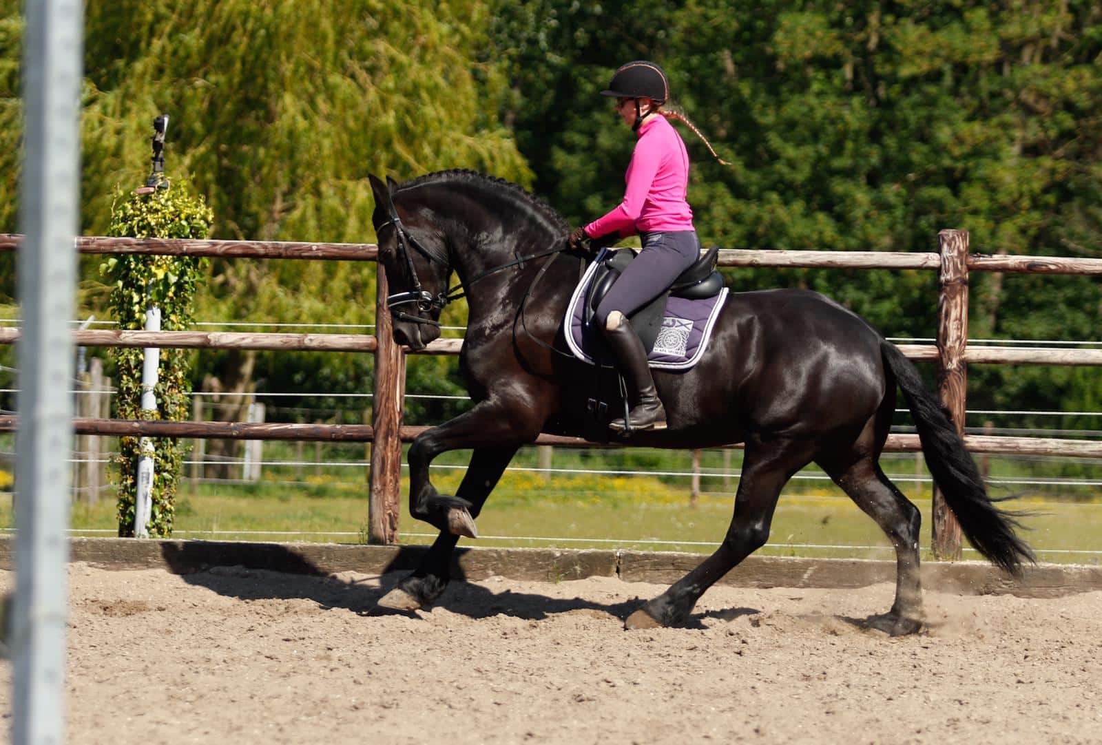 Over Horseteam - Stoeterij Horseteam